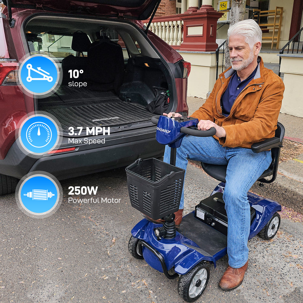 Hoverfly T4 4-Wheel Mobility Scooter 12Mile Range 330lbs Maxload for ...